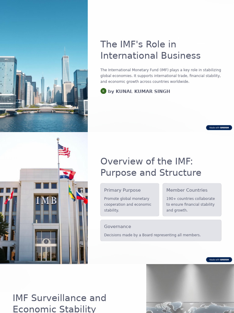 The IMFs Role in International Business | PDF | International Monetary ...
