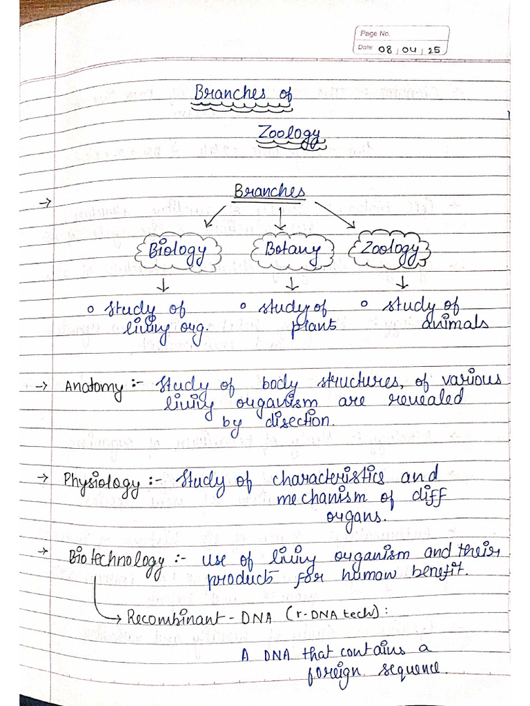 Zoology Notes | PDF