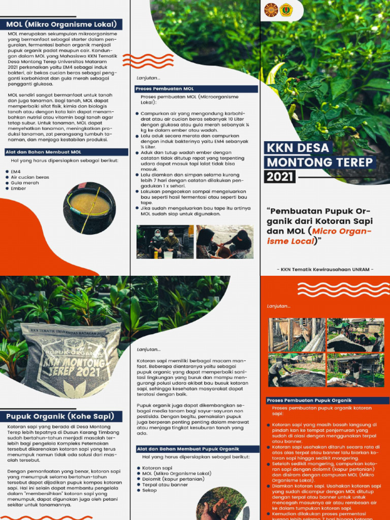 2b Contoh Leaflet 2 | PDF