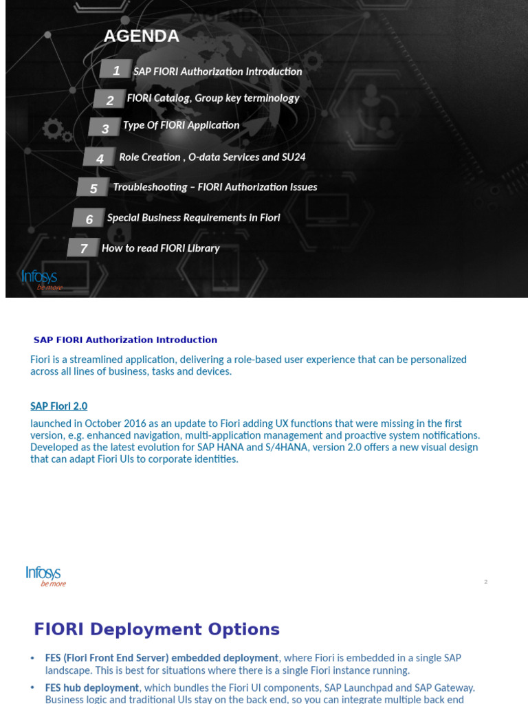 SAP FIORI Authorization | PDF | World Wide Web | Internet & Web