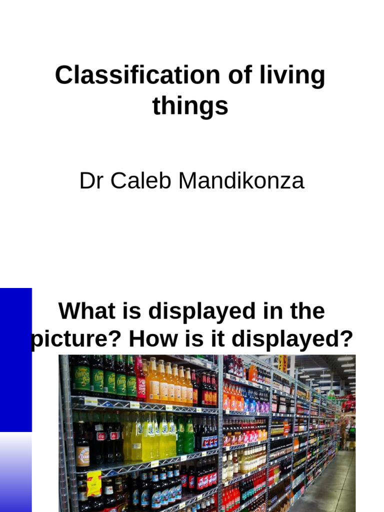 Introduction To Classification Notes Block 2 - 8702972 | PDF ...