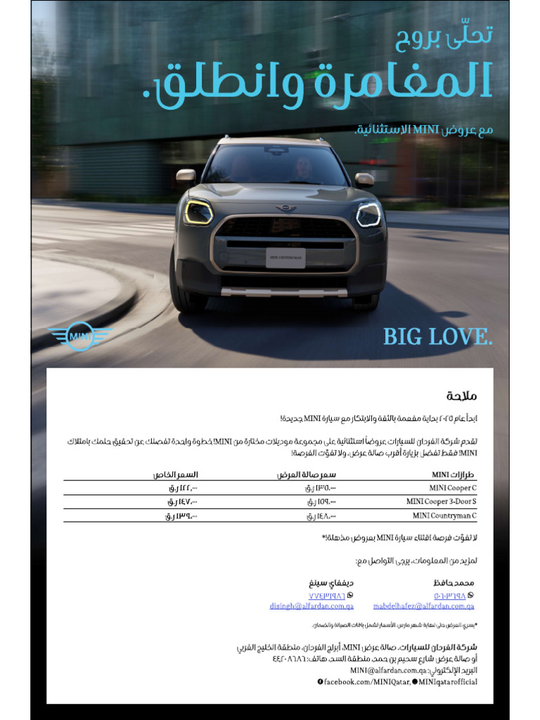 MINI Affinity Program - AR 2025 | PDF