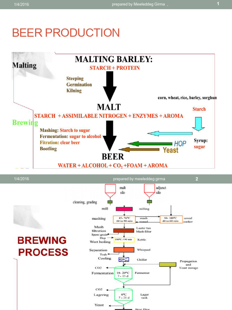 Beer Filtration Process Overview | PDF | Brewing | Filtration
