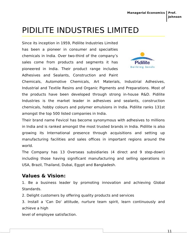 Pidilite Industries: Market Leader Overview | PDF | Chemical Industry ...