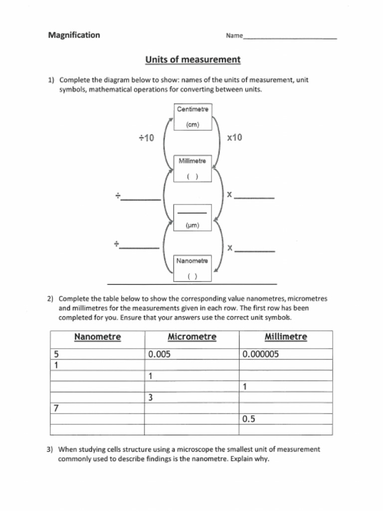 IB Magnification Workbook | PDF