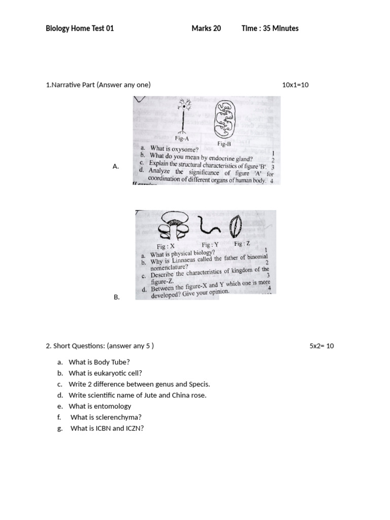 Biology Home test 1 | PDF