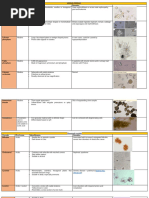 7 - Casts in Urine Sediments | PDF | Clinical Medicine | Kidney