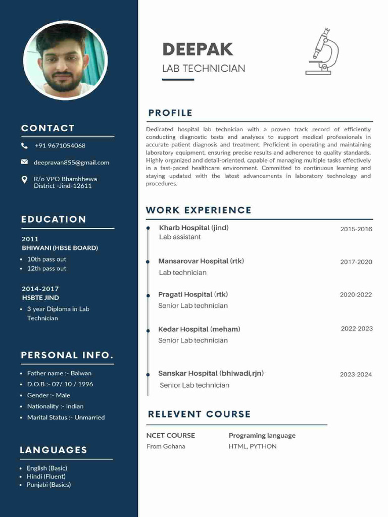 Deepak Professional CV Resume | PDF