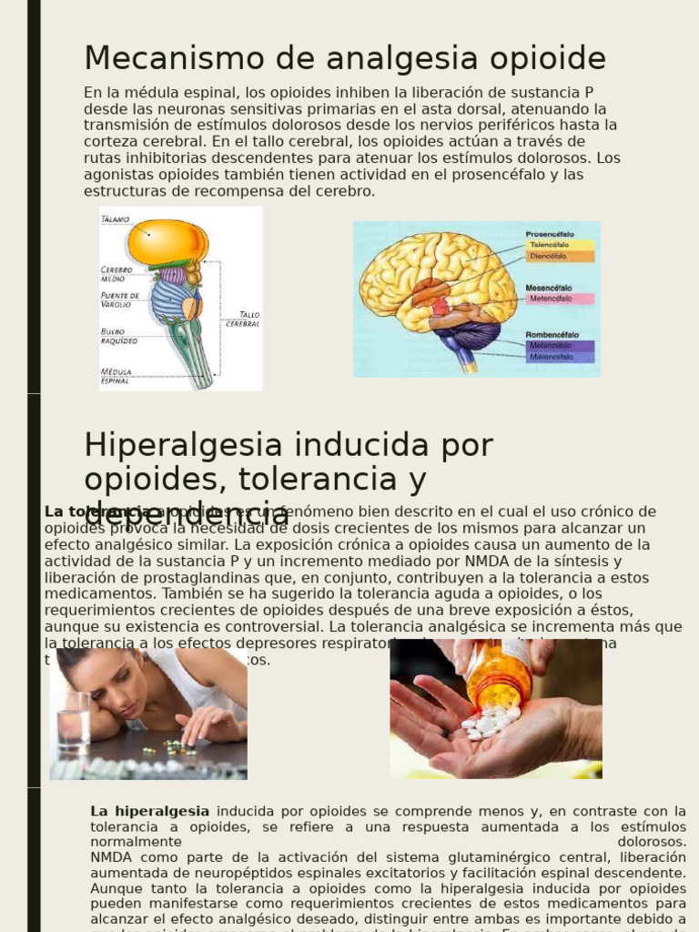 Mecanismo de Analgesia Opioide | PDF