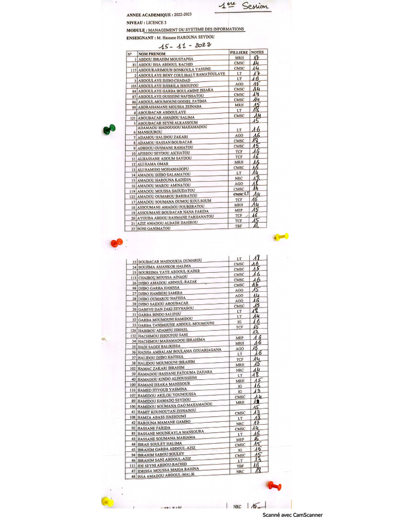 Management Des Informations | PDF