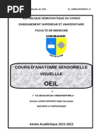 Chiasma Optique | PDF | Anatomie humaine | Système nerveux