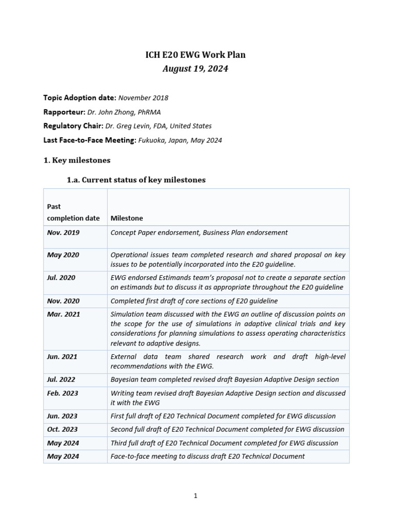 ICH E20 EWG WorkPlan 2024 0819 | PDF