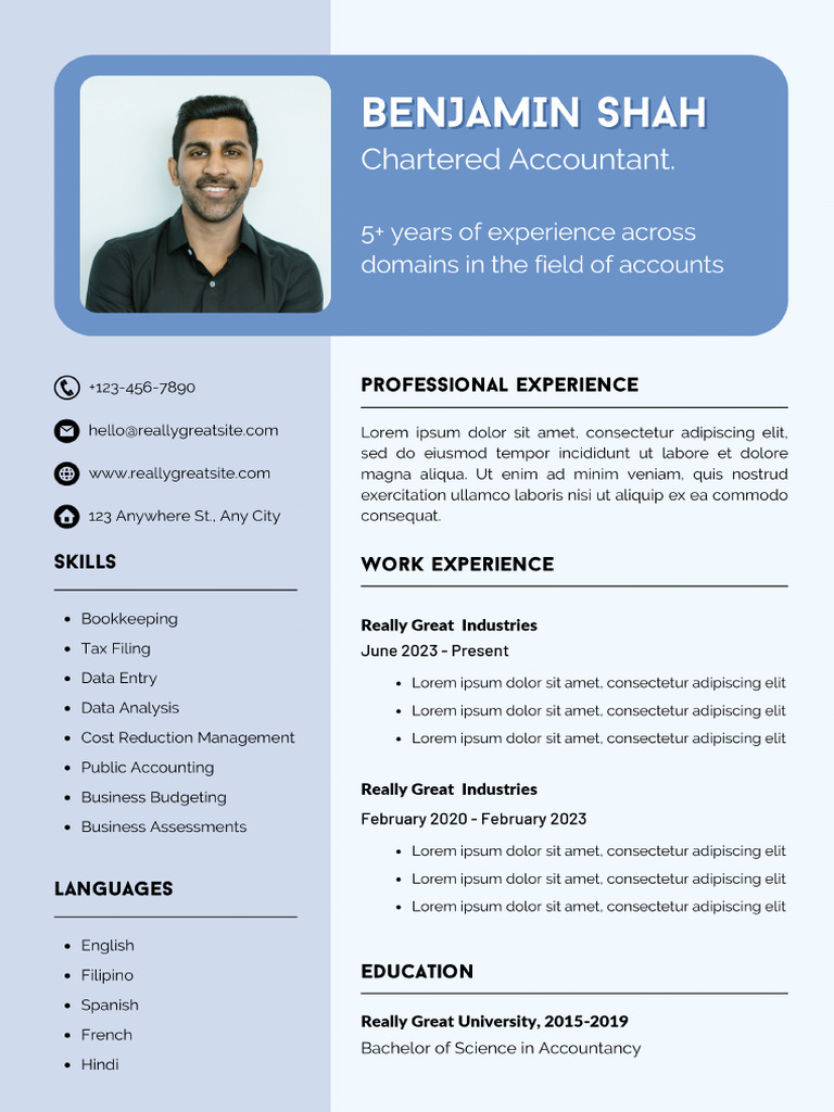 Professional Resume For Accountant | PDF
