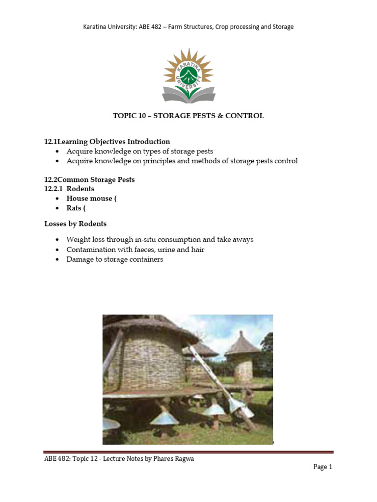 Storage Pests Control | PDF | Cereals | Pest (Organism)
