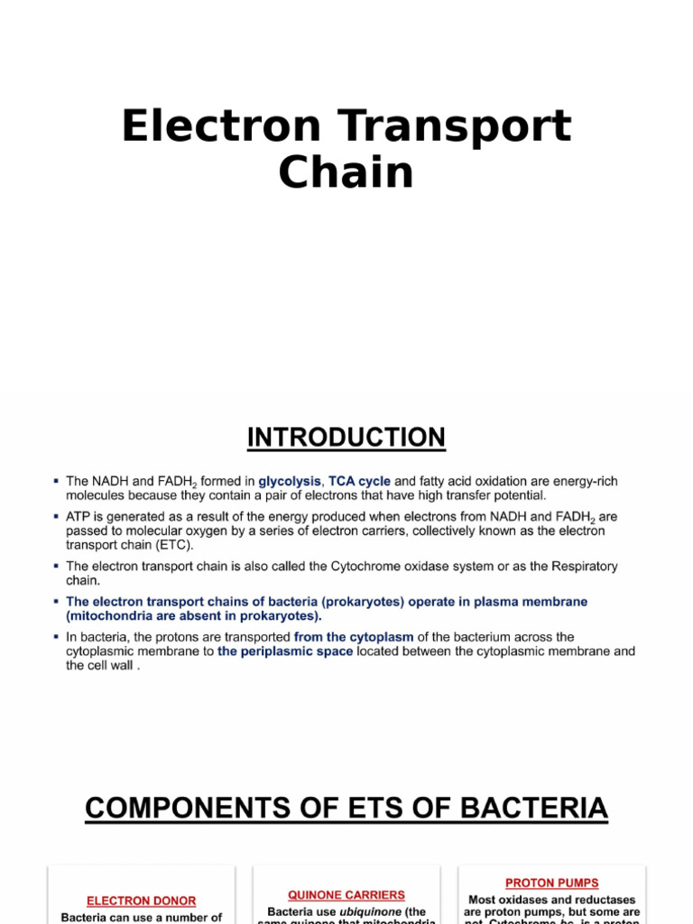 Electron Transport Chain | PDF