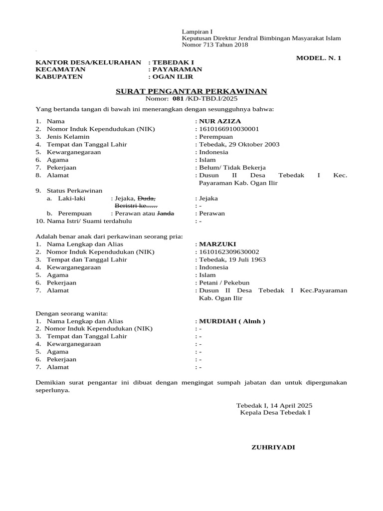 081 .N.A Nur Aziza (Marzuki) | PDF