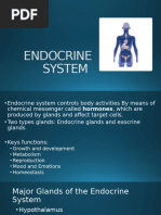 100 Endocrine System Objectives MCQ With Answers | PDF | Adrenal Gland ...