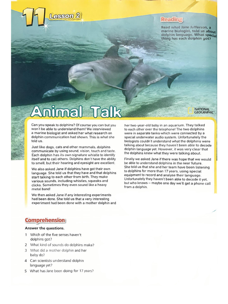 Animal Talk | PDF