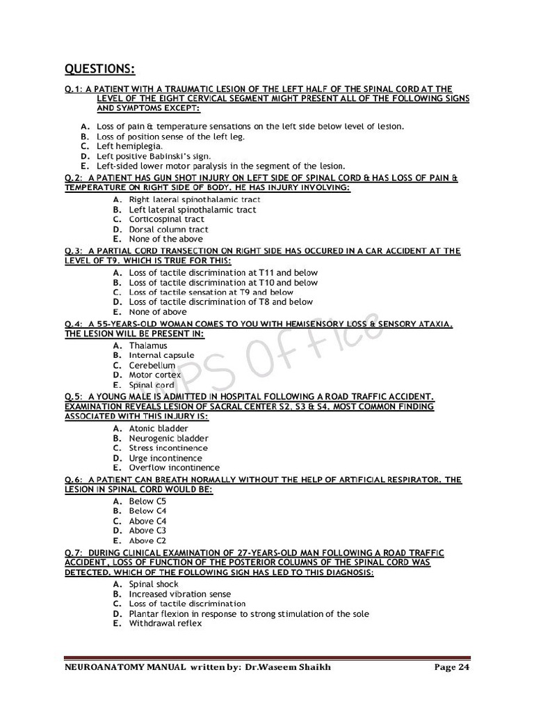 Neuroanatomy Bcqs DR Waseem Sheikh | PDF