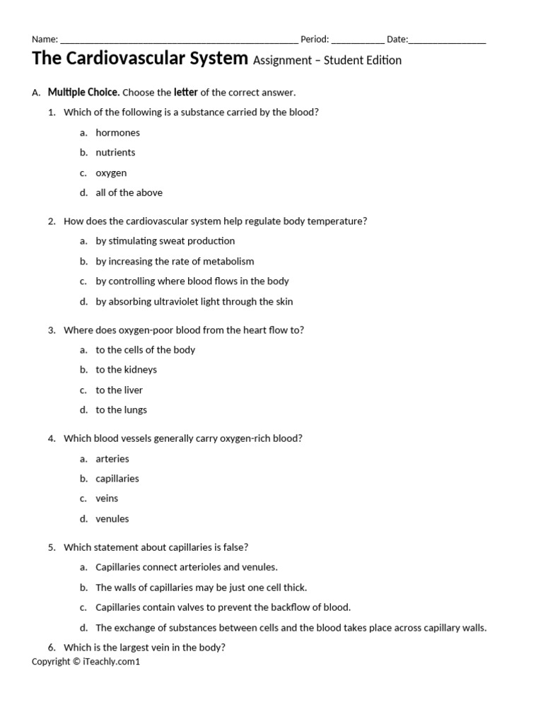 Assignment-SE-The-Cardiovascular-System 2 | PDF | Circulatory System ...