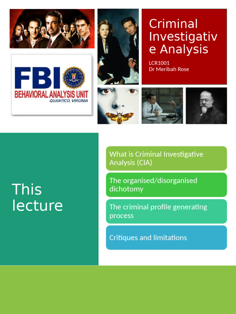Criminal Investigative Analysis Overview | PDF | Offender Profiling ...