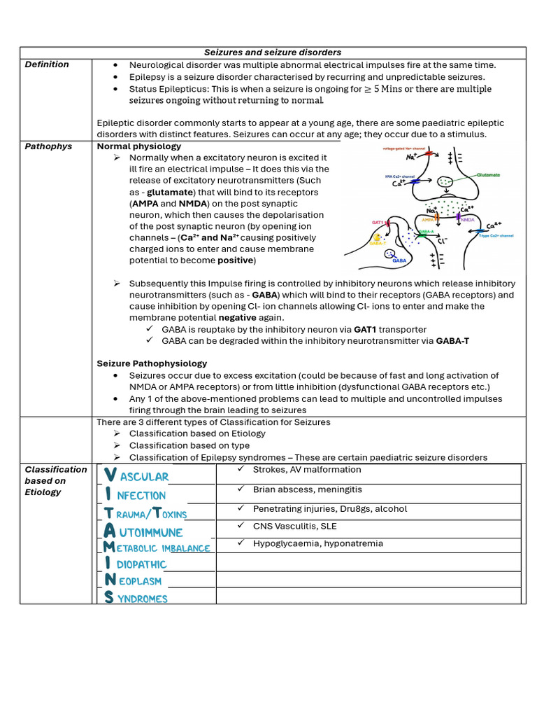 Seizure Notes Med Student | PDF | Neurotransmitter | Epilepsy