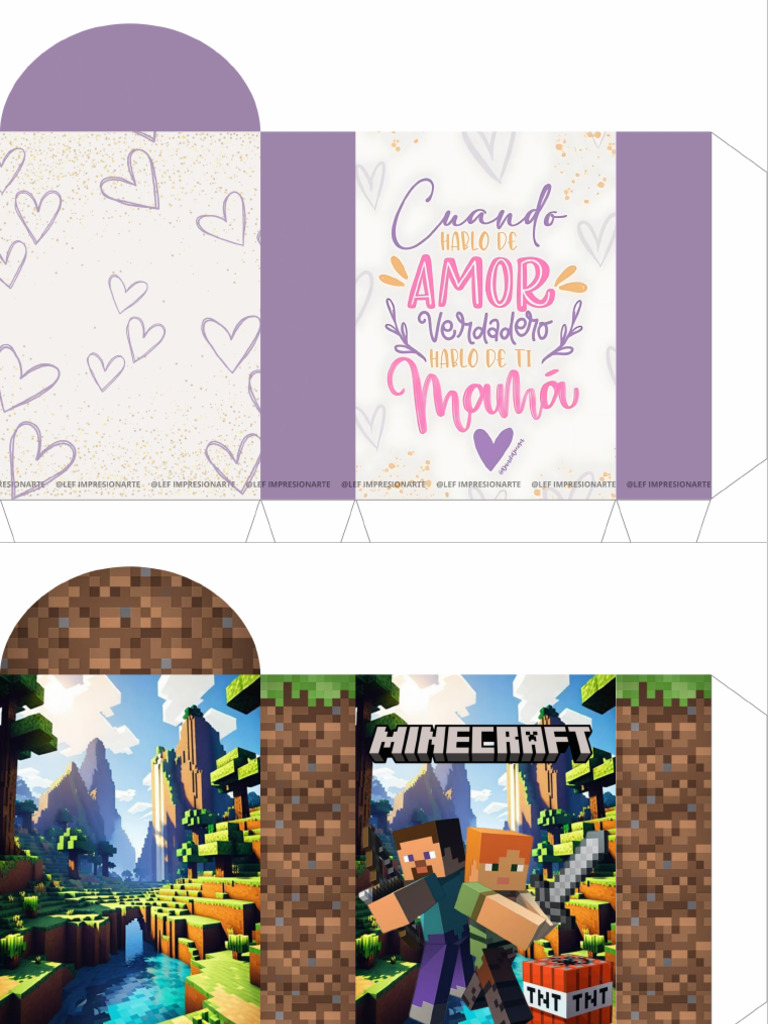 Bolsita Con Solapa | PDF