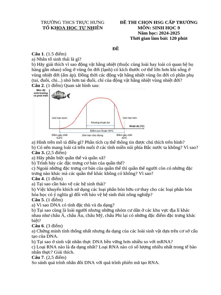 ĐỀ - hao hoang | PDF