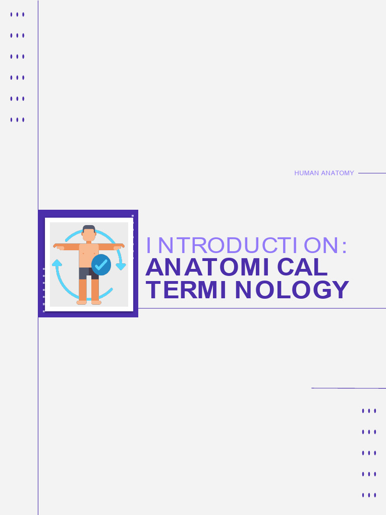 Worksheet - Intro-Anatomical Terminology | PDF