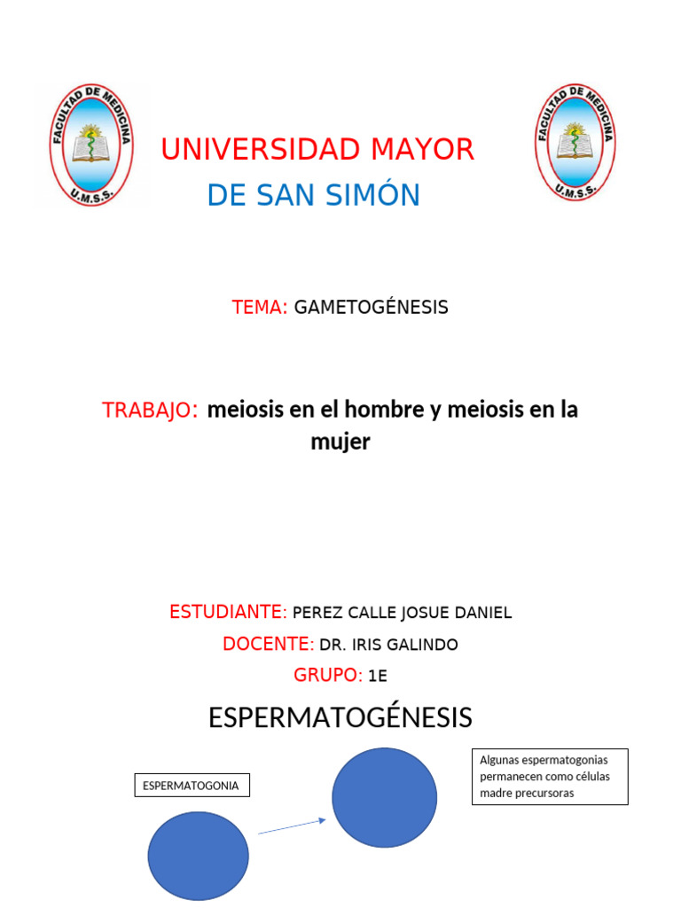 gametogenesis embrio | PDF | Mitosis | Biología