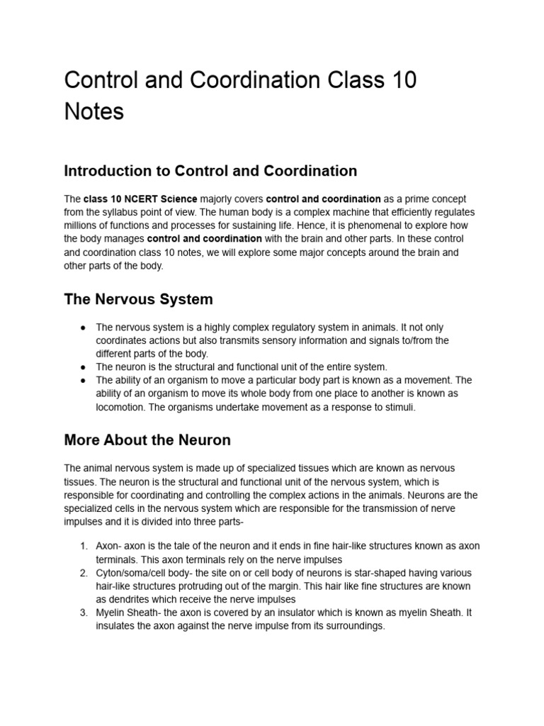 Control and Coordination Class 10 Notes | PDF | Neuron | Central ...