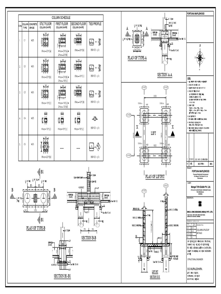 Column, Pile Details On 22 Sep 2010-Model | PDF