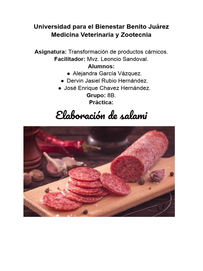 Elaboración de Salami: Guía Práctica | PDF