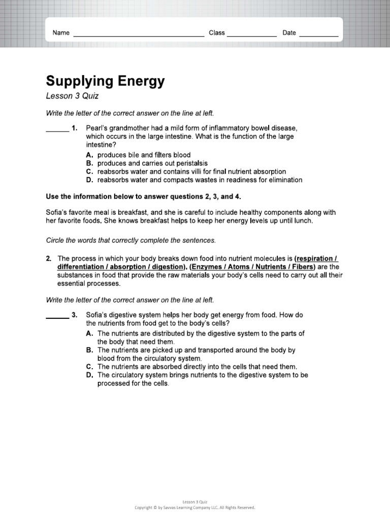 Supplying Energy#2 | PDF