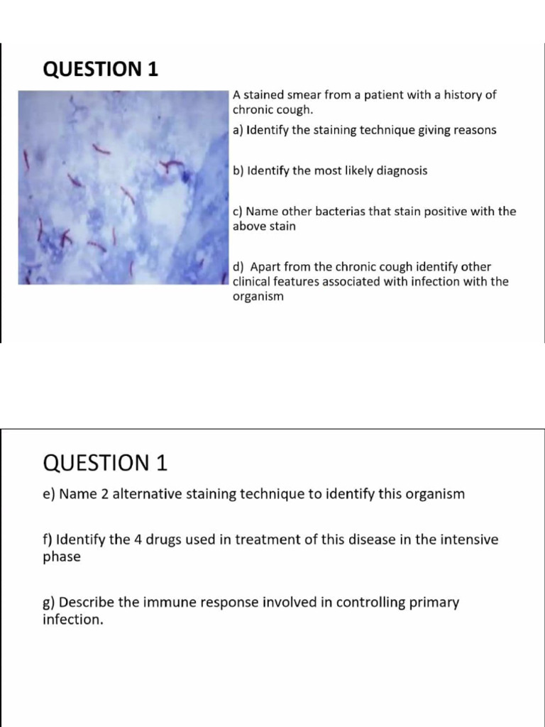MicroB Spot Ques Paper Complete_250505_064714 | PDF