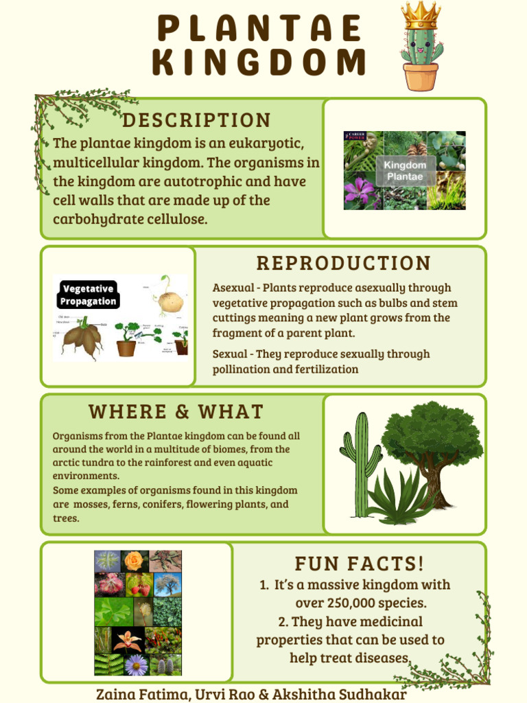 Fun Facts About Kingdom Plantae | PDF