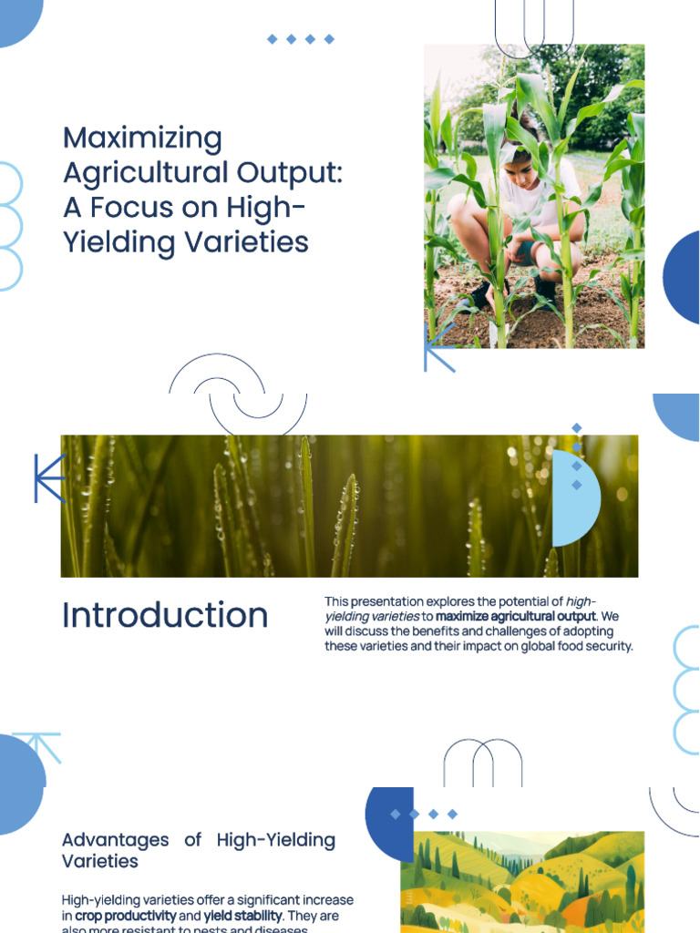 Slidesgo Maximizing Agricultural Output A Focus On High Yielding ...