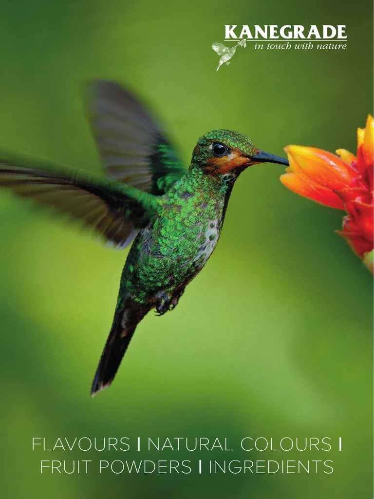 Kanegrade Ingredients Brochure 2023 - Spreads | PDF | Fruit Preserves ...