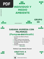 Sabana Húmeda Con Palmeras (Pampas Del Heath) | PDF | Deforestación ...