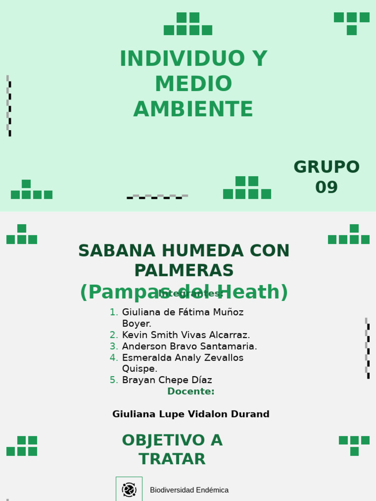 Características de la Sabana de Palmeras | PDF | Sabana | Entorno natural