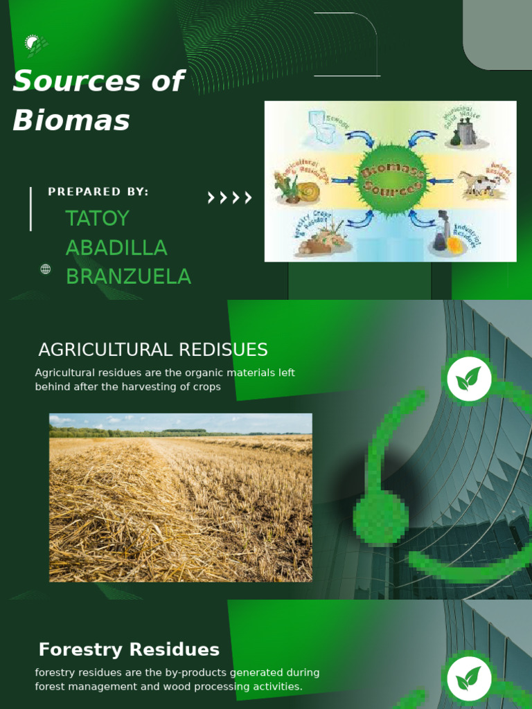 REPORT SOURCES OF BIOMASS | PDF