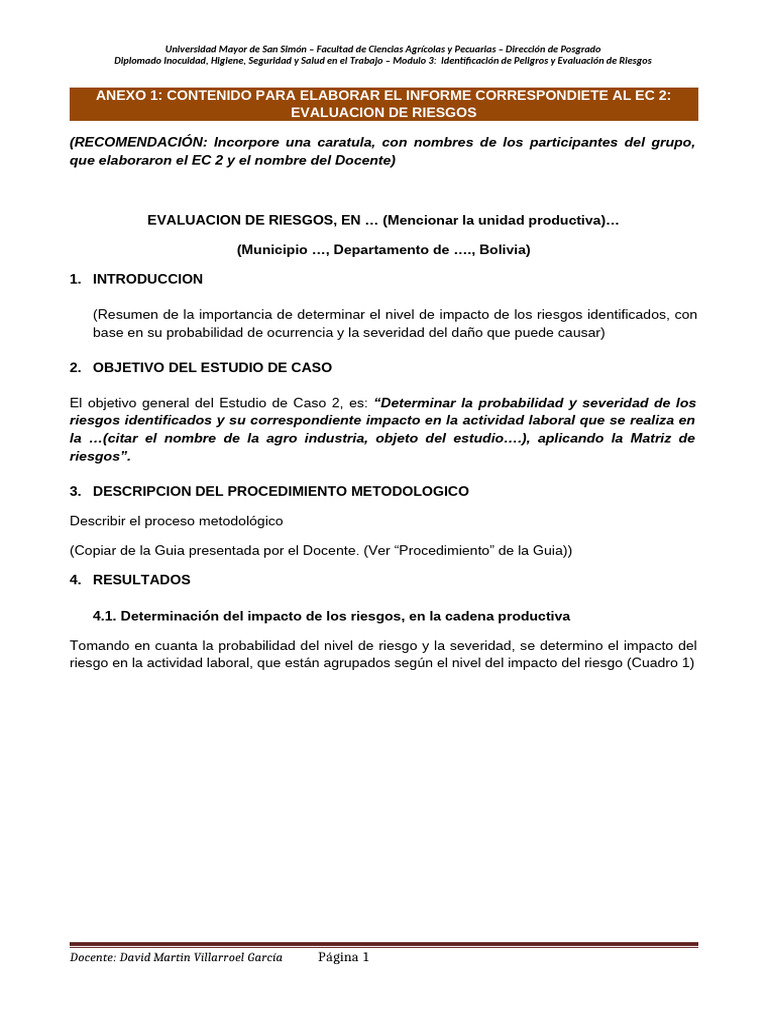 Anex 1 Contenido Informe EC2 Evaluacion Riesgos | PDF | Evaluación de riesgos | Riesgo