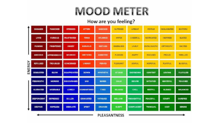 Mood Meter | PDF