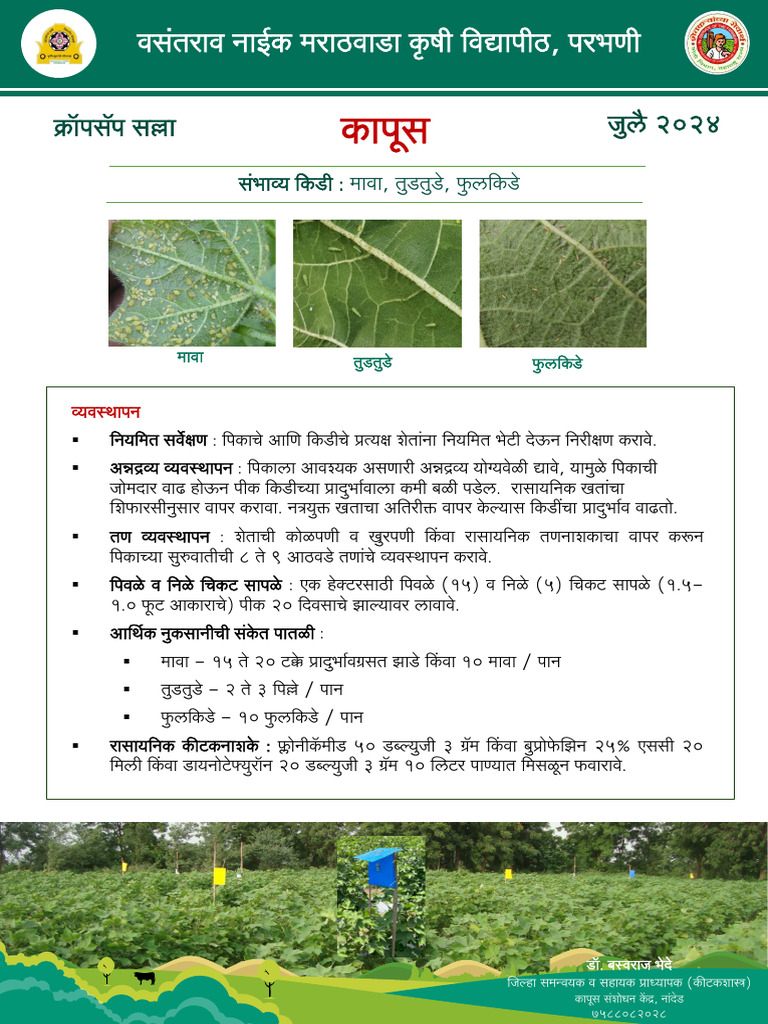 CROPSAP July 2024 | PDF