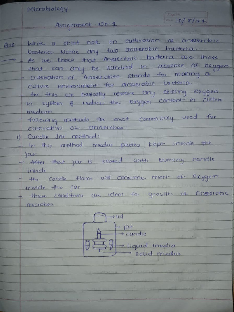 Microbiology Assignment.1 | PDF | Microbiology | Biology