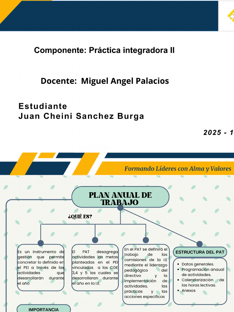 Actividad 5 de Práctica Integradora Ii | PDF