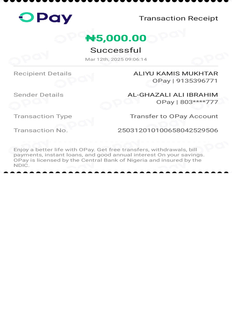 Successful OPay Transaction Receipt | PDF