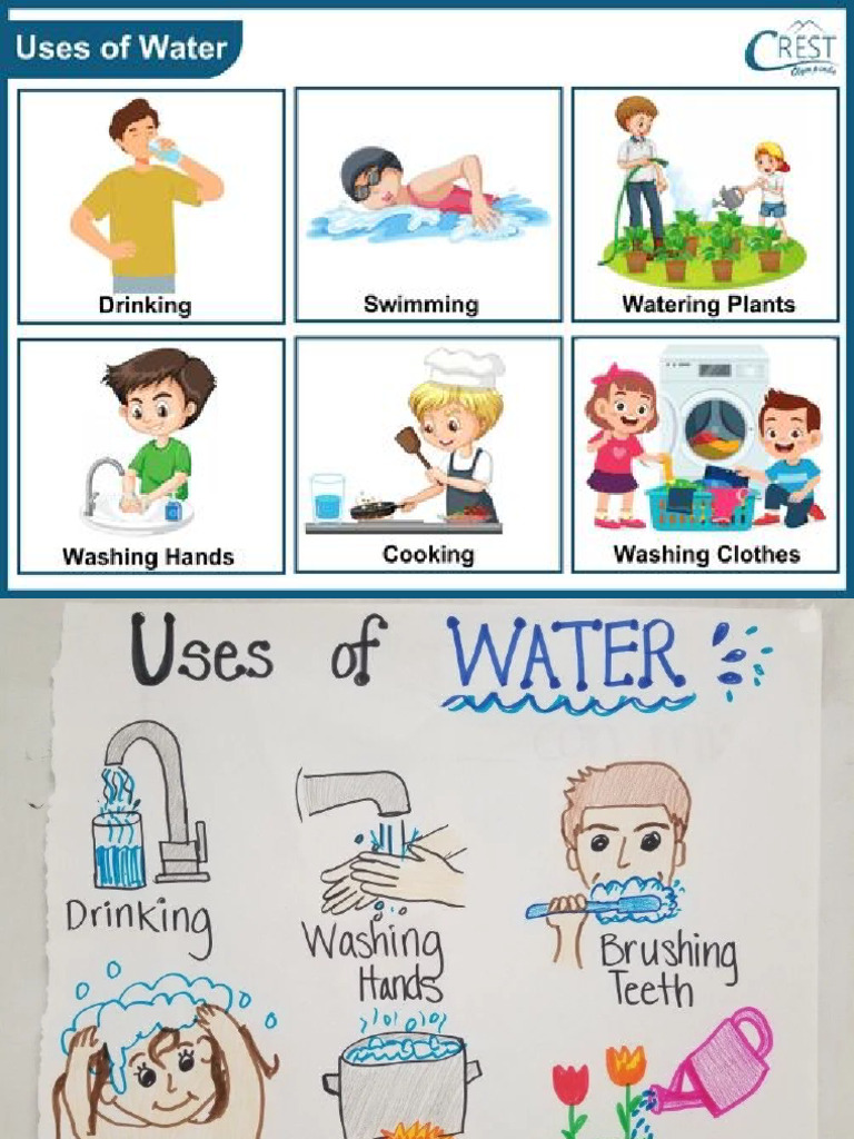 Essential Uses of Water Explained | PDF