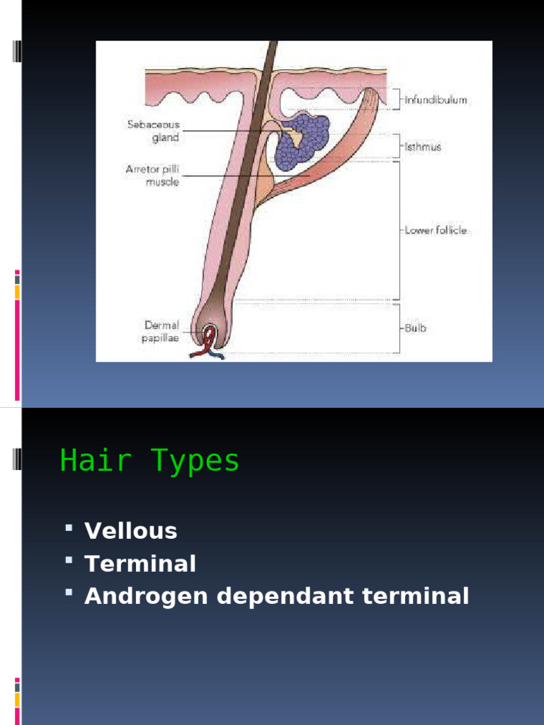 L5. Hair Disorders | PDF
