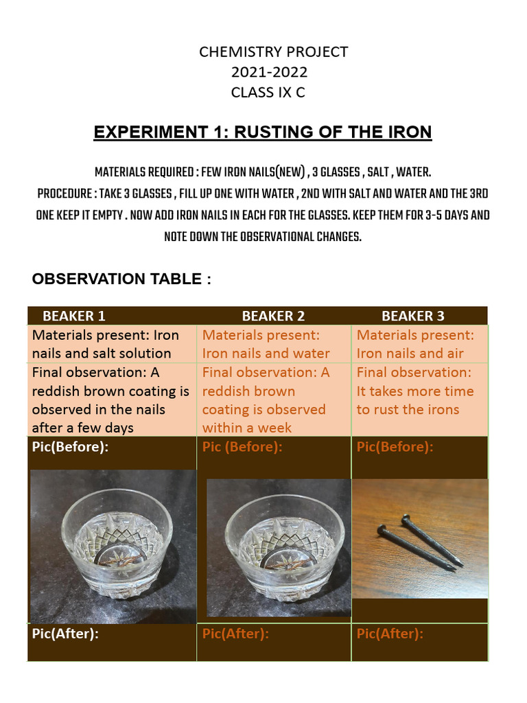 Class 9 Chemistry Project Experiments | PDF | Rust | Iron